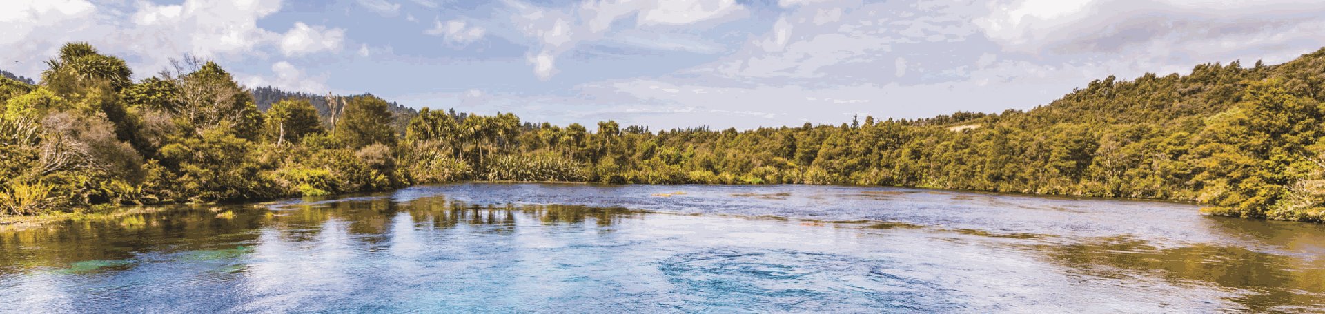 Golden Bay Real Estate - First National